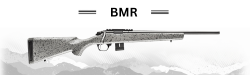 Bergara Rimfire