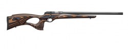 CZ RIMFIRE NEW MODELS 457